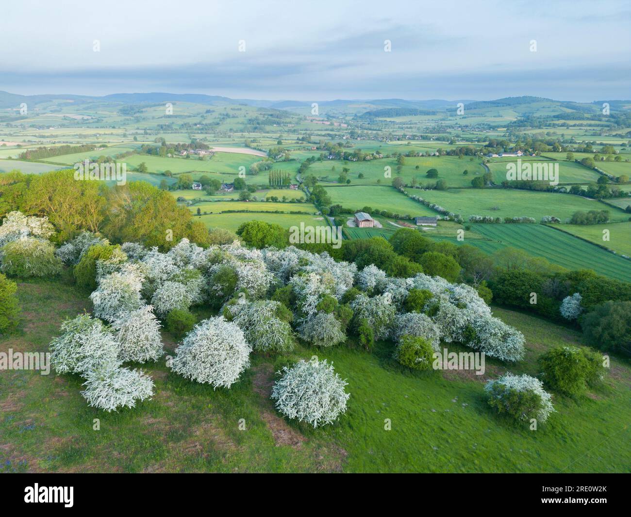 Spring in the Clun Valley, Shropshire, England, UK Stock Photo - Alamy