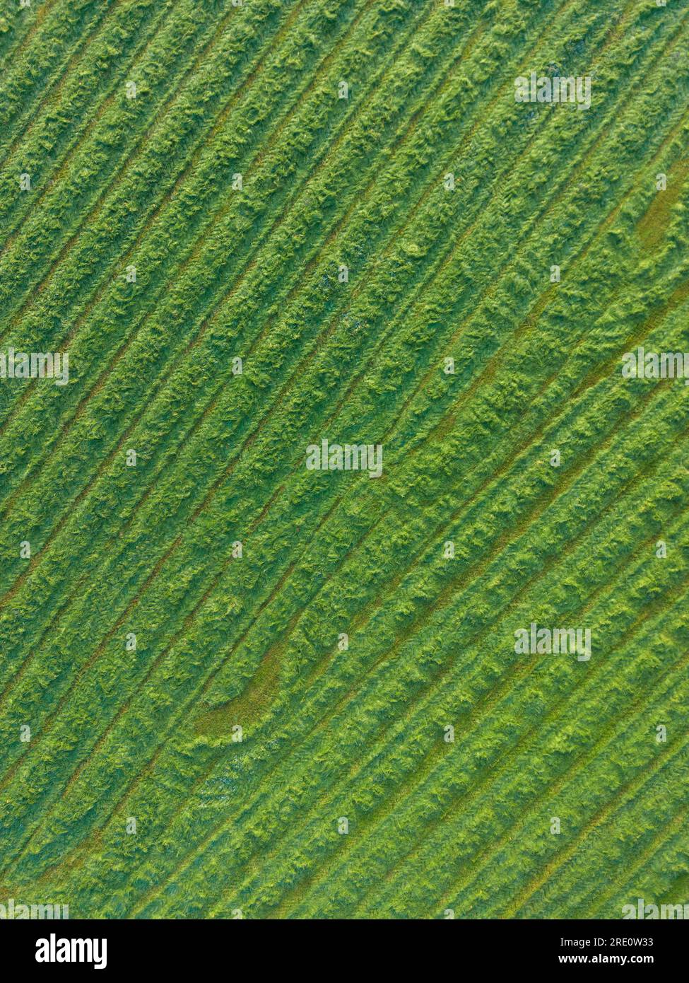 Aerial images of British farmland showing field boundaries and vehicle ...