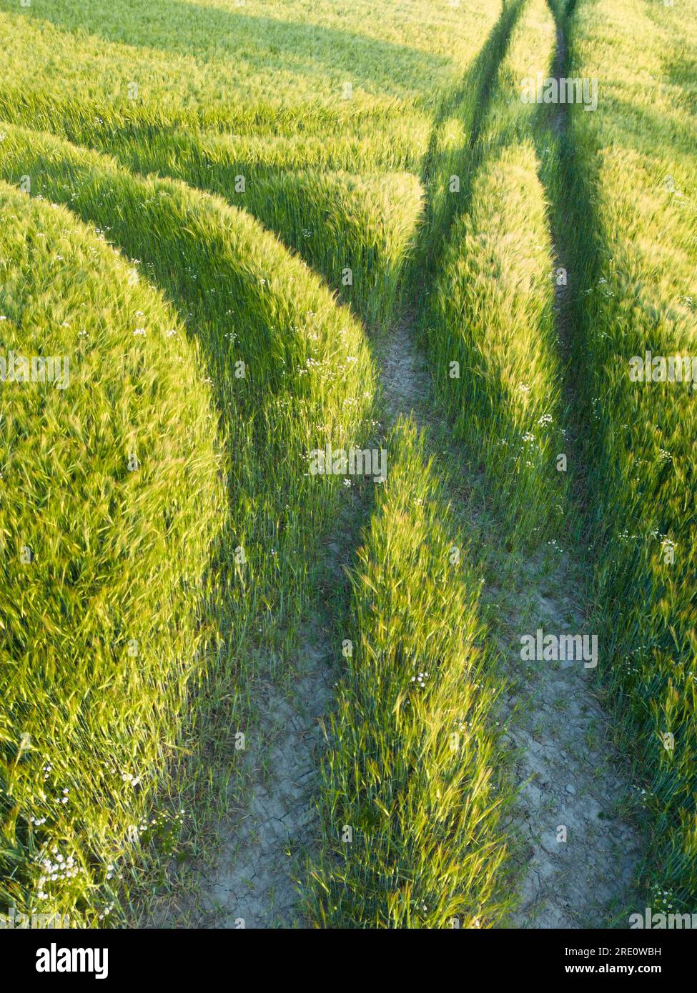 Aerial images of British farmland showing field boundaries and vehicle ...