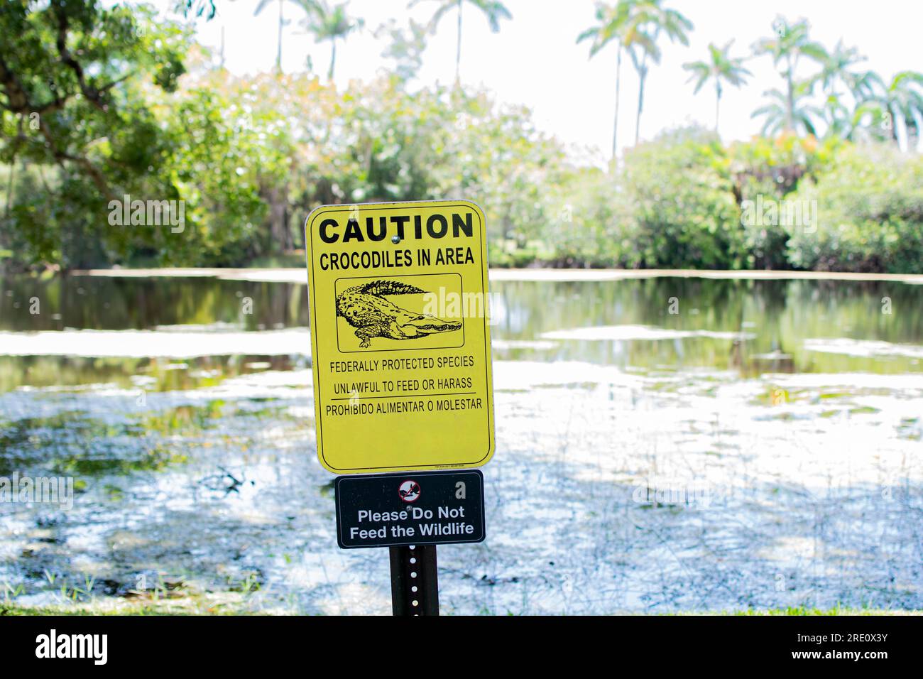 The sign telling Caution Crocodiles in the area. Beware of alligators ...