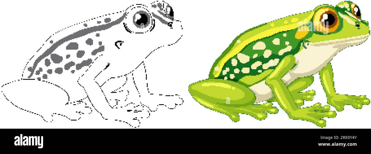 A vector cartoon illustration of a green frog for coloring pages Stock ...