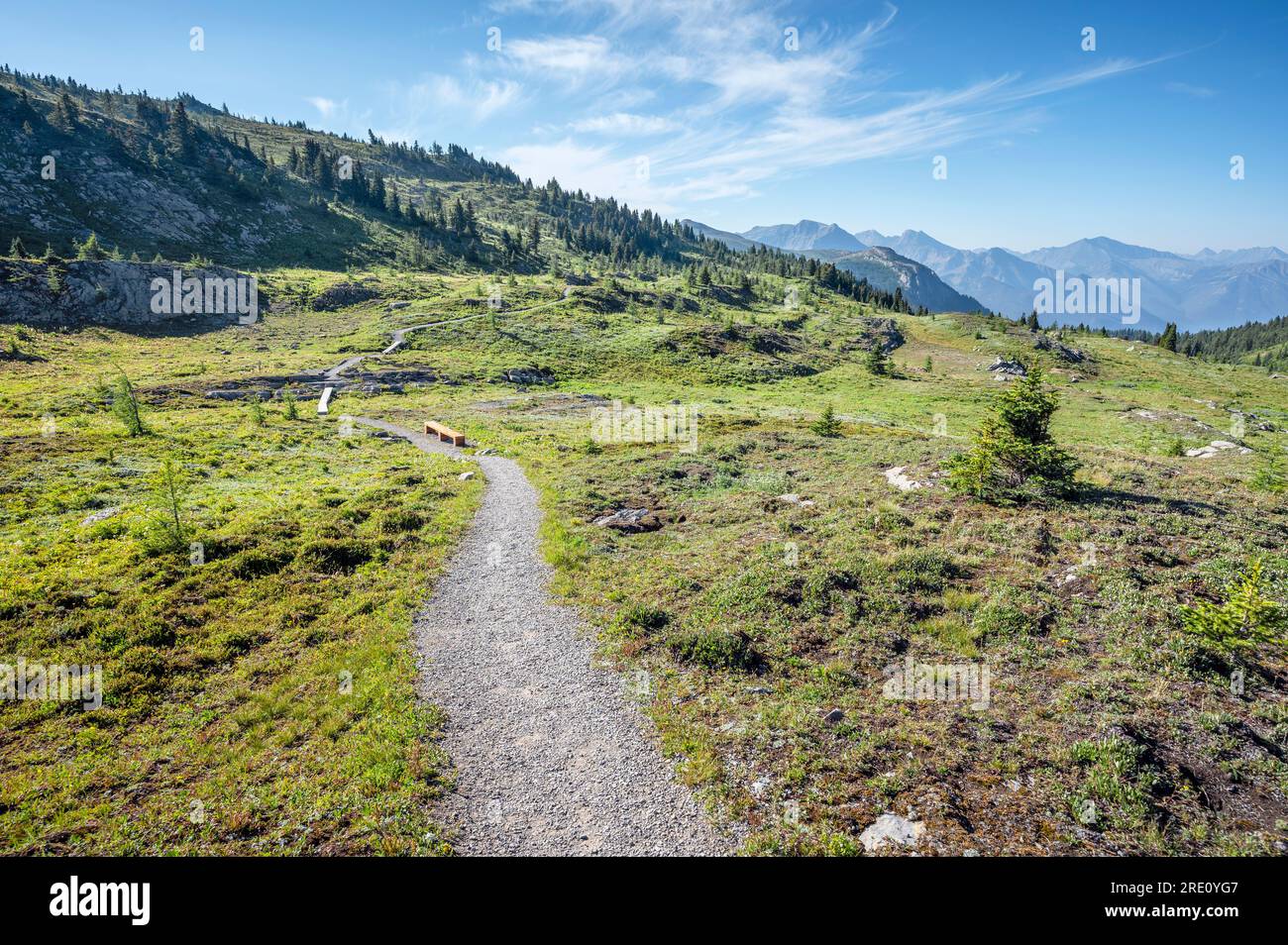 Meandering path in the high altitude of Sunshine Meadows in Mount ...