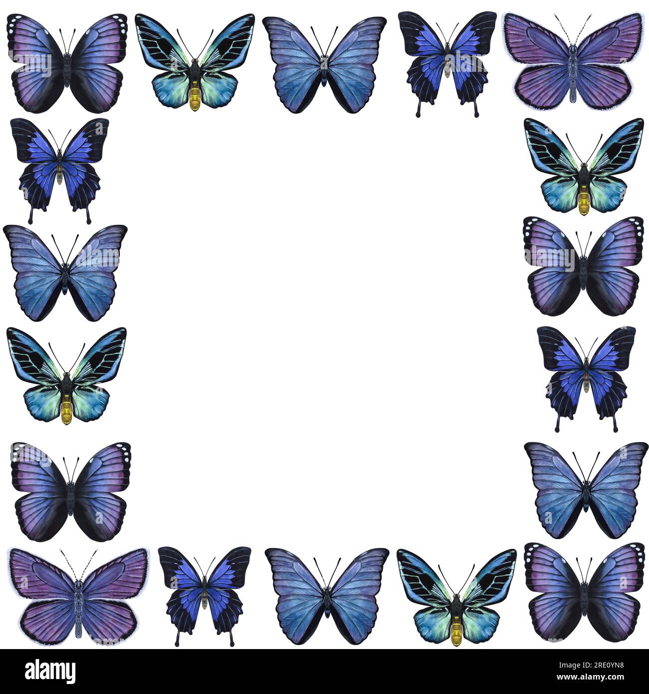 Frame beautiful butterflies, blue violet. Hand-drawn watercolor ...