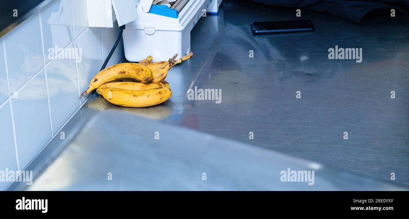 A colorful array of bananas adorns a stainless steel kitchen, setting ...