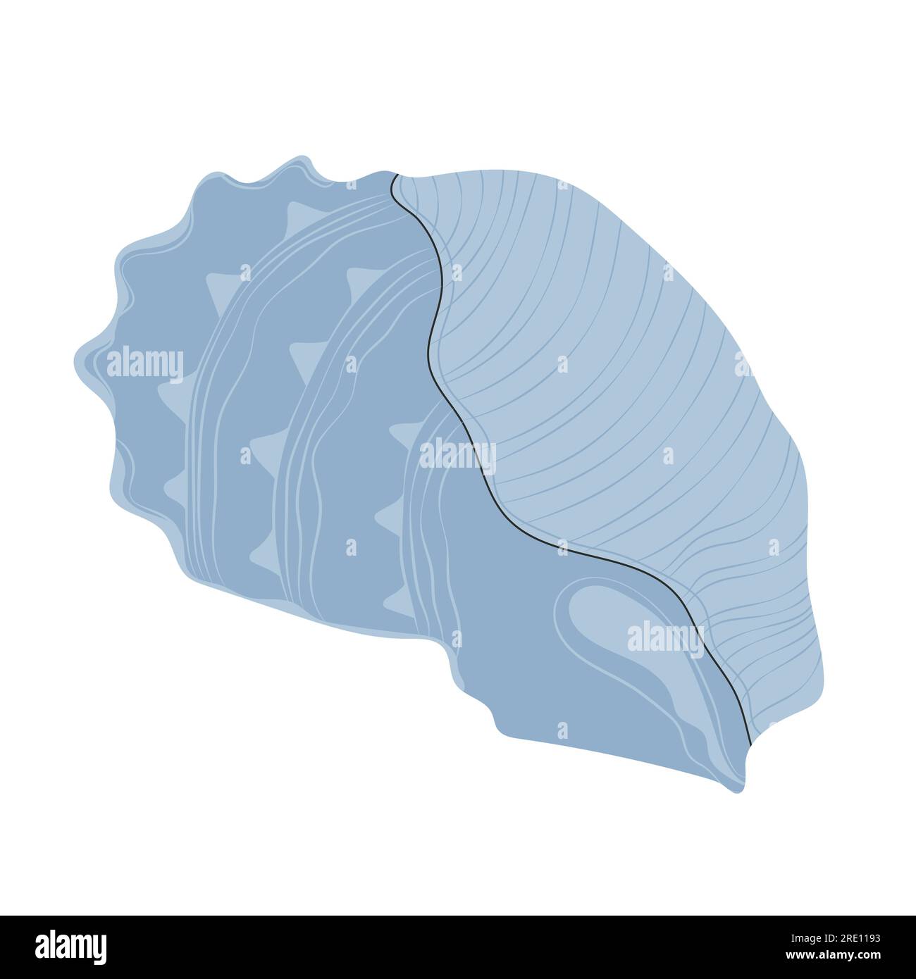 Shell with spikes Stock Vector Images - Alamy