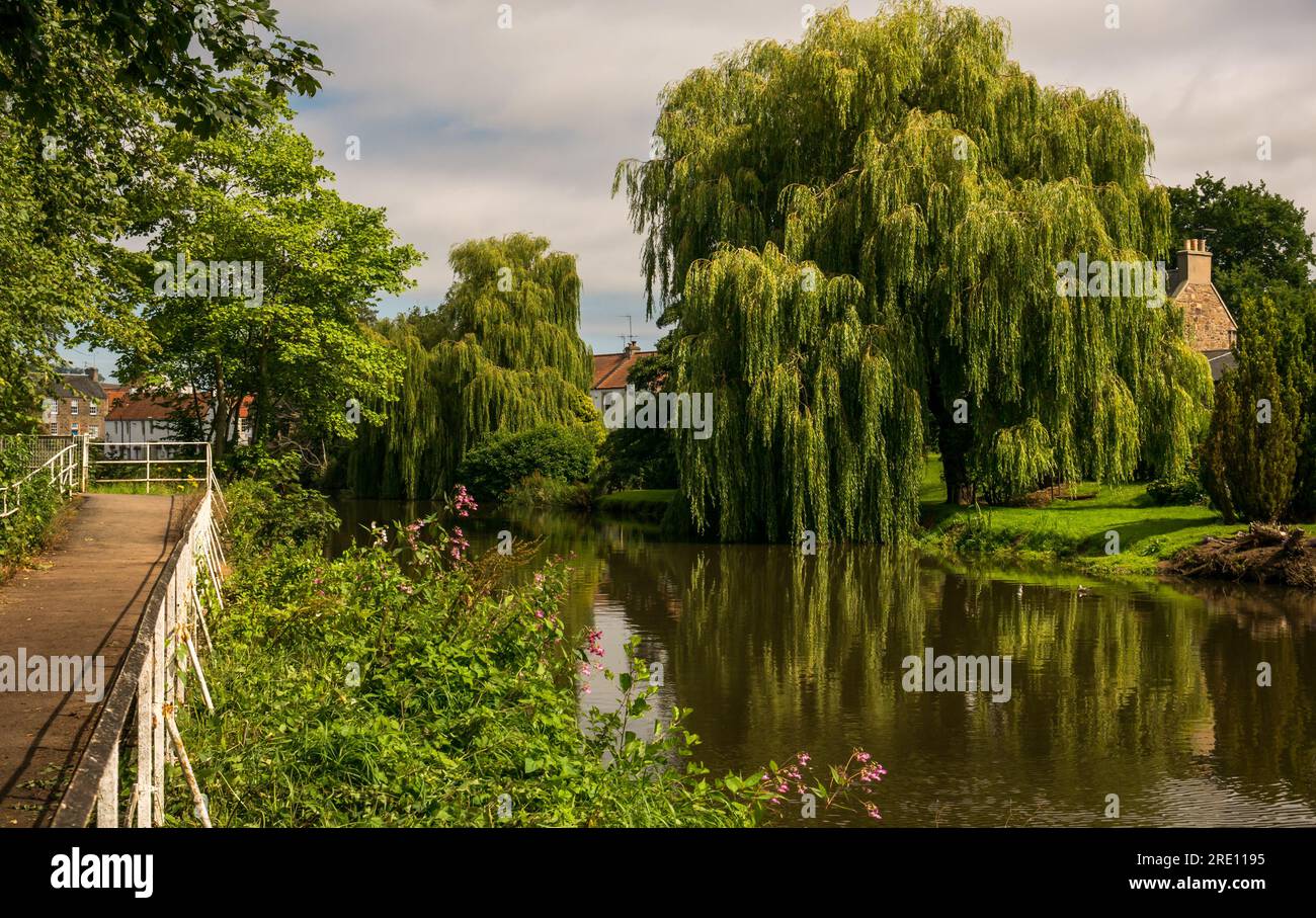 Weeping willow tree and water hi-res stock photography and images - Alamy