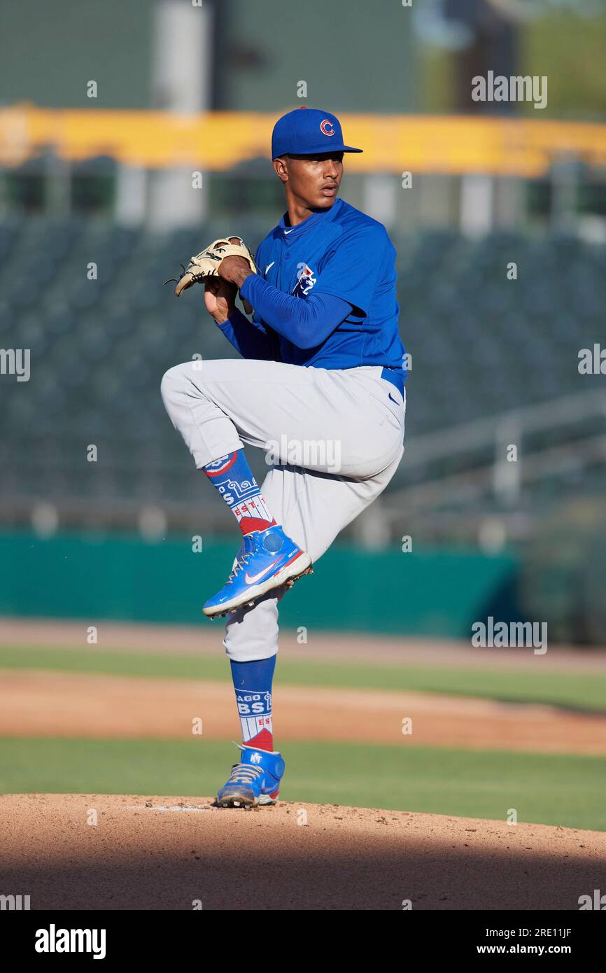 ACL Cubs starting pitcher Freilyn Silverio (74) during an Arizona ...