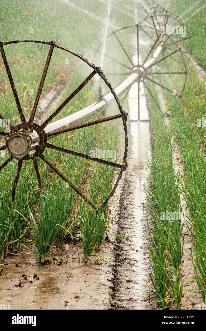 Water wheel irrigation hi-res stock photography and images - Alamy