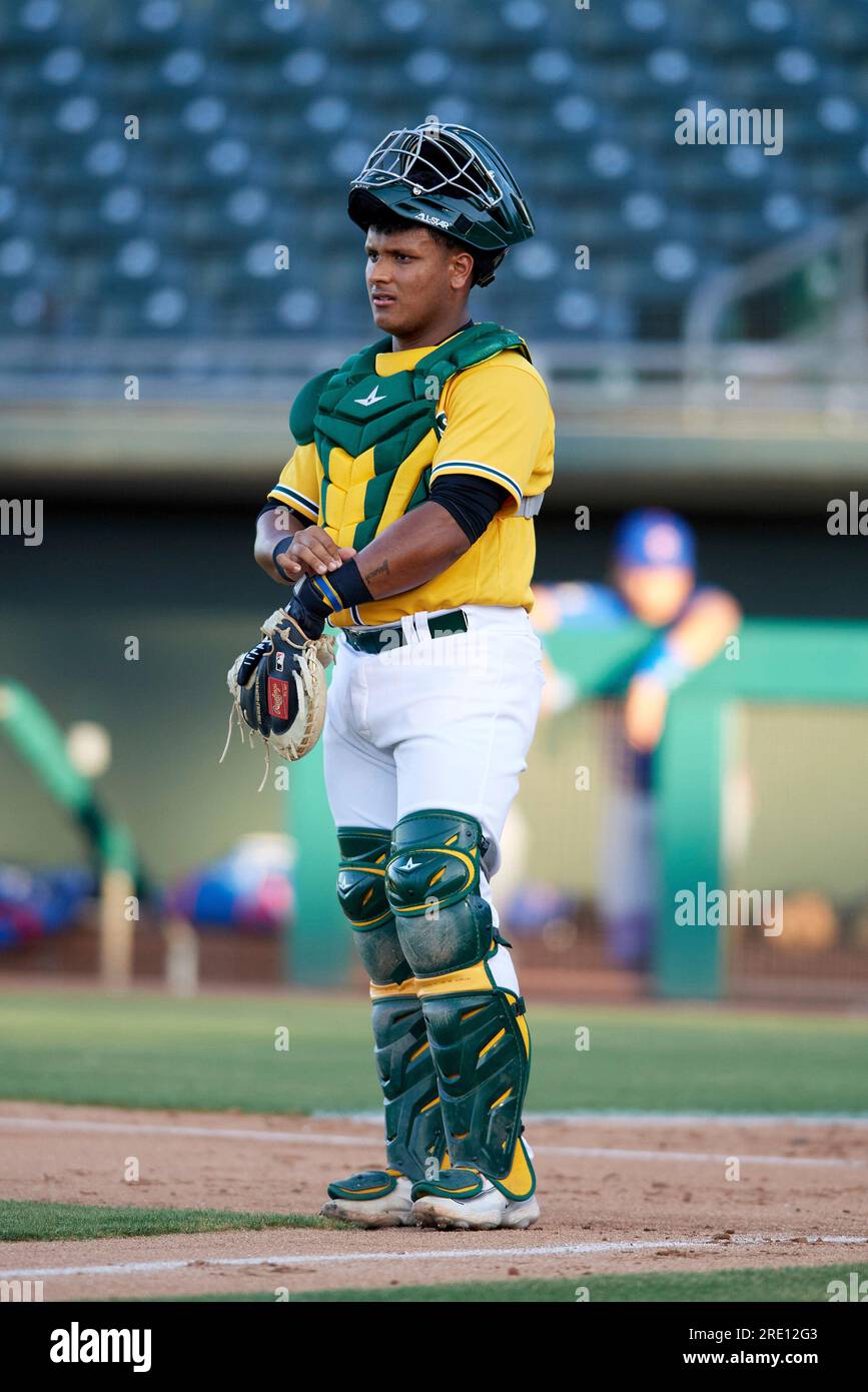 ACL Athletics Javier Pariguan (46) during an Arizona Complex League ...