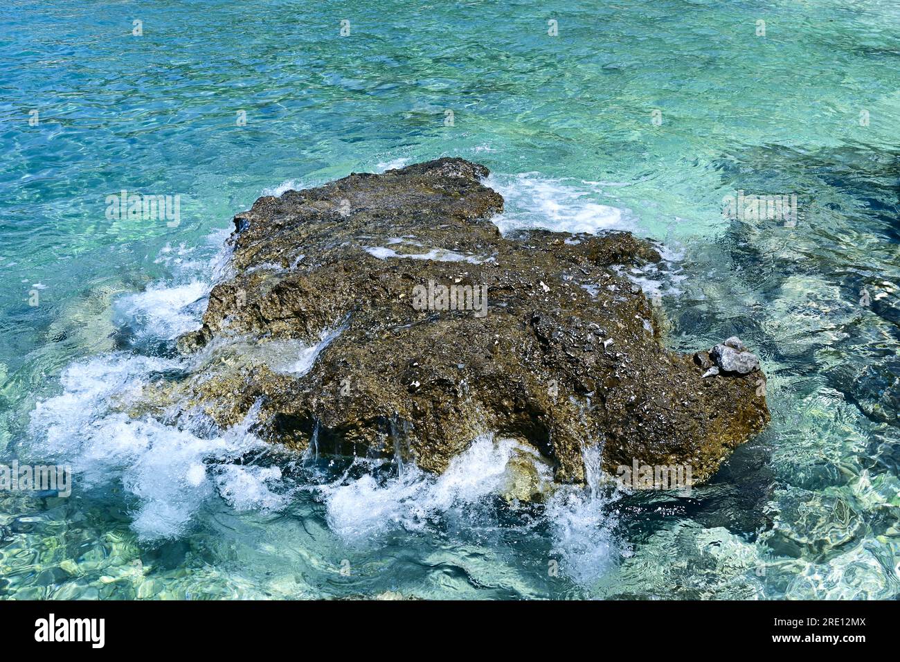 Rocky seabed hi-res stock photography and images - Alamy
