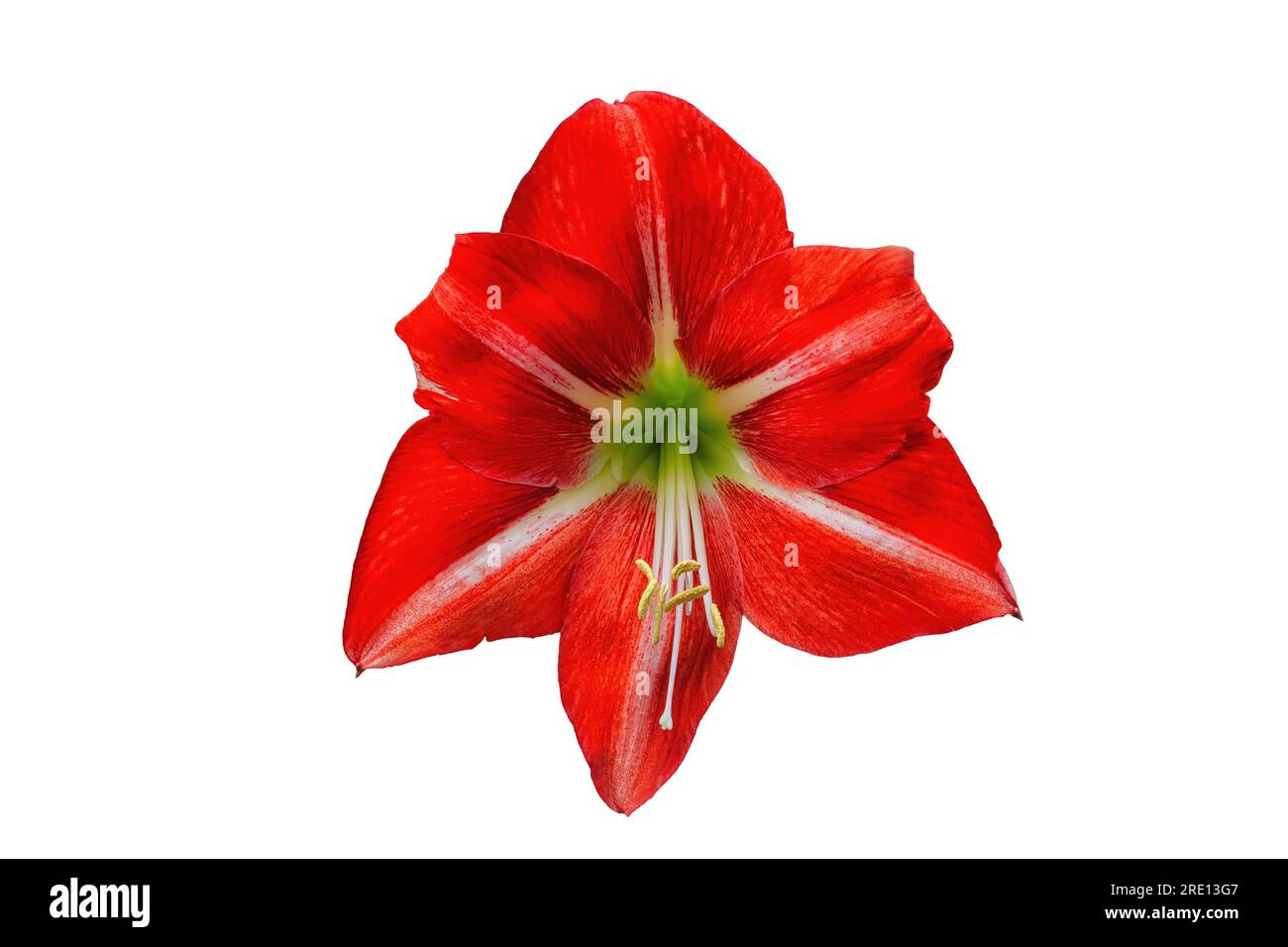 Minerva logo Cut Out Stock Images & Pictures - Alamy