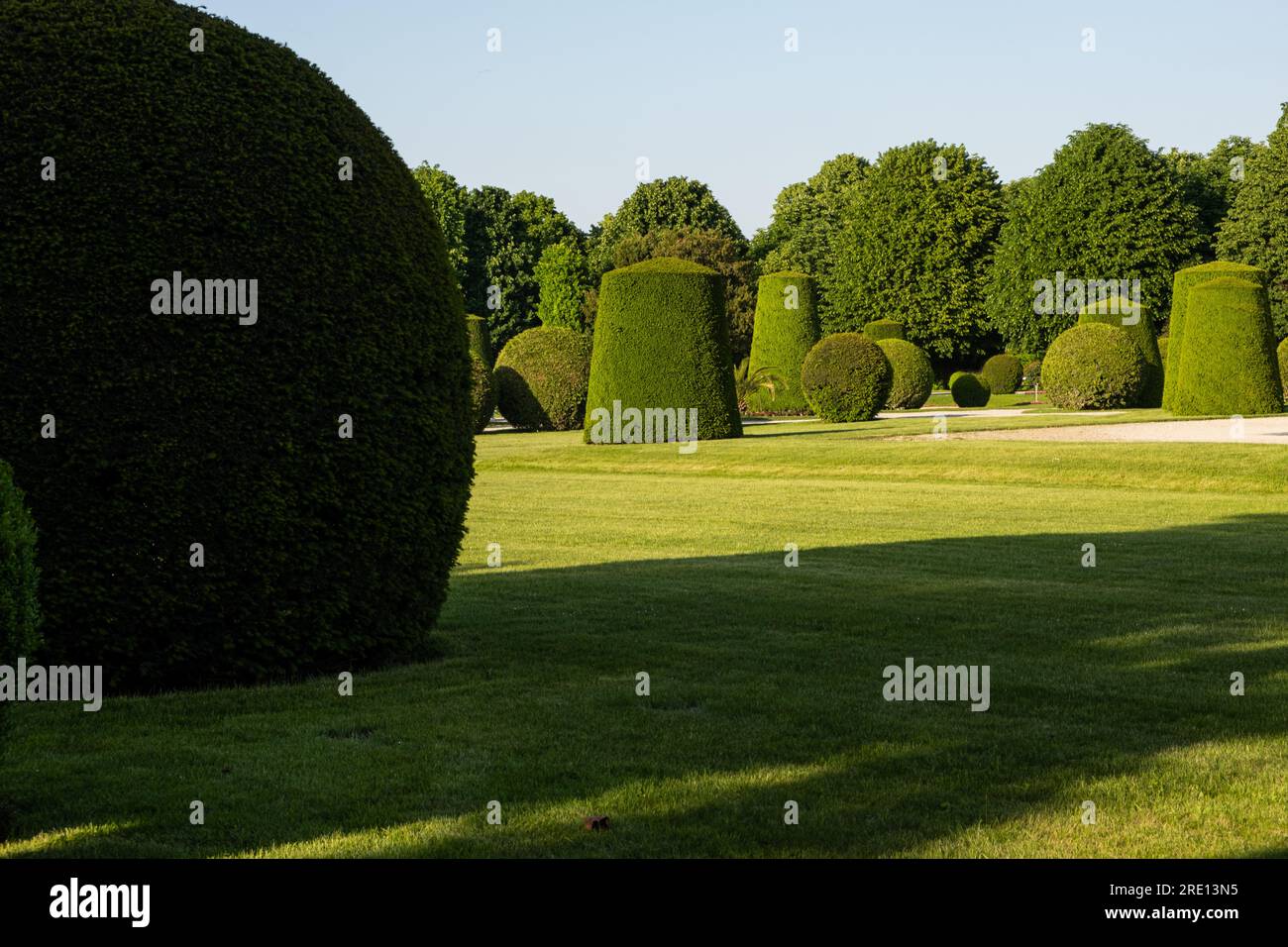 Beautiful park with evenly trimmed cylindrical and and spherical shaped ...