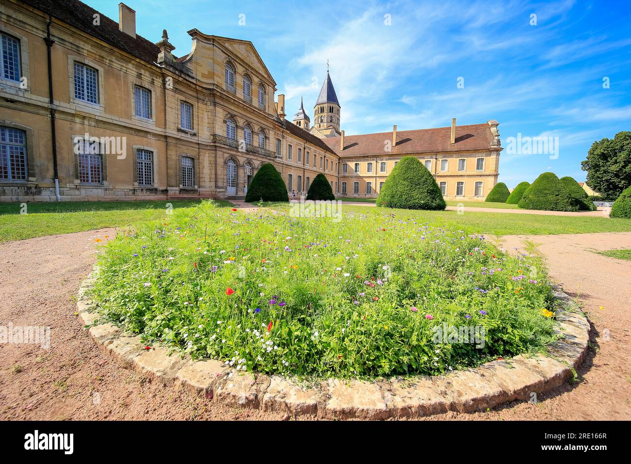 Abbey of cluny cathedral hi-res stock photography and images - Alamy