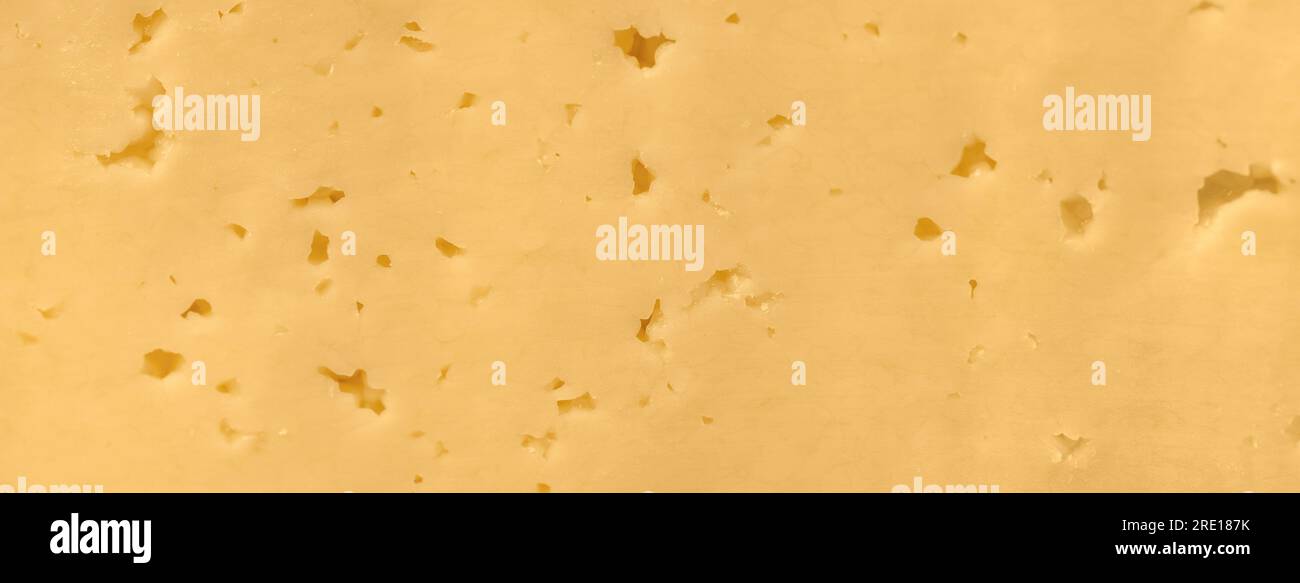 Structure of yellow cheese with holes, background macro. Food backdrop ...