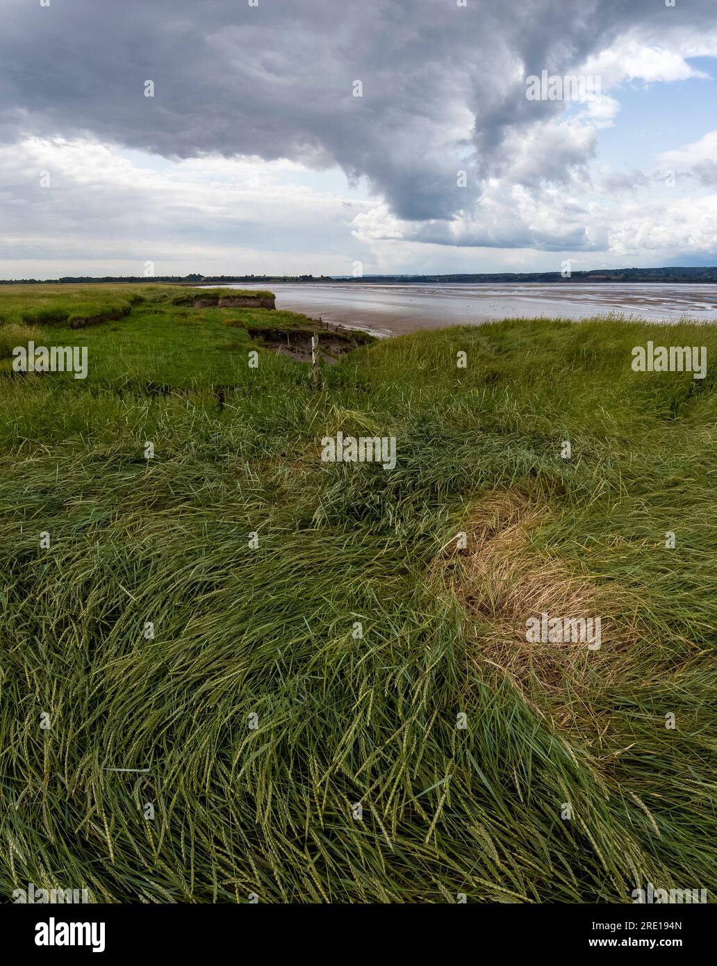 Panoramic views of the River Severn from the Summer Walkway path ...