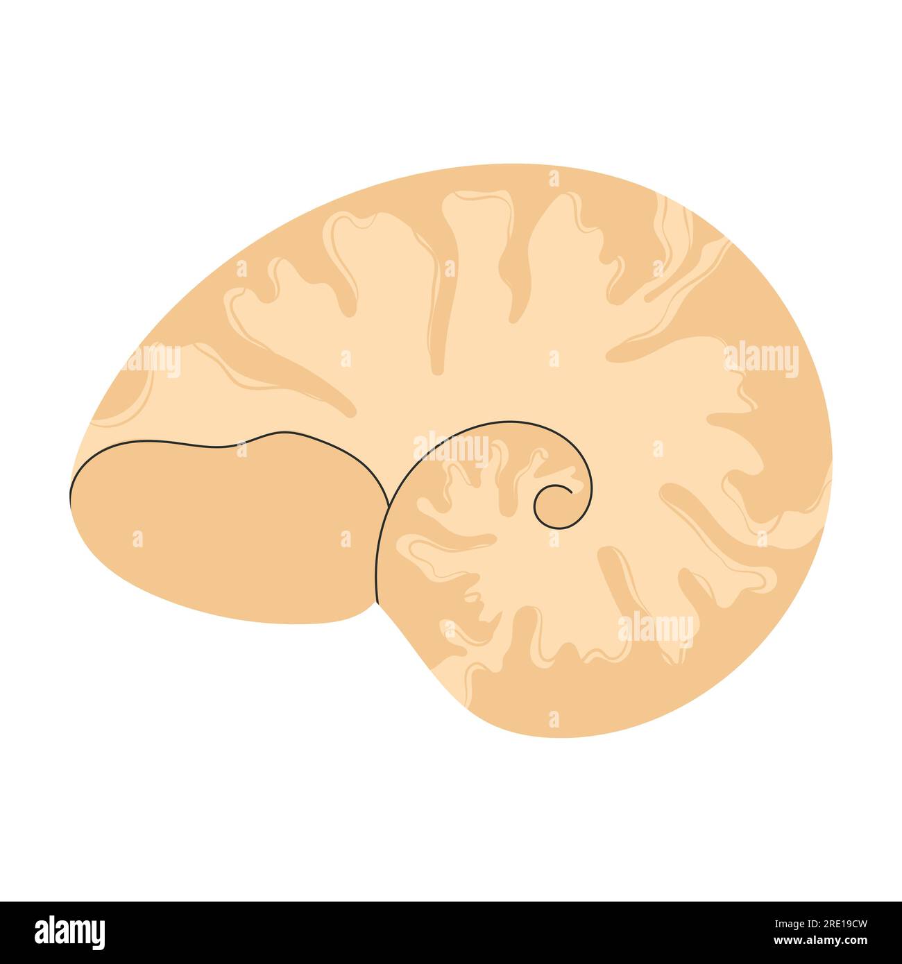 Marine underwater swirled sea shell Stock Vector Image & Art - Alamy