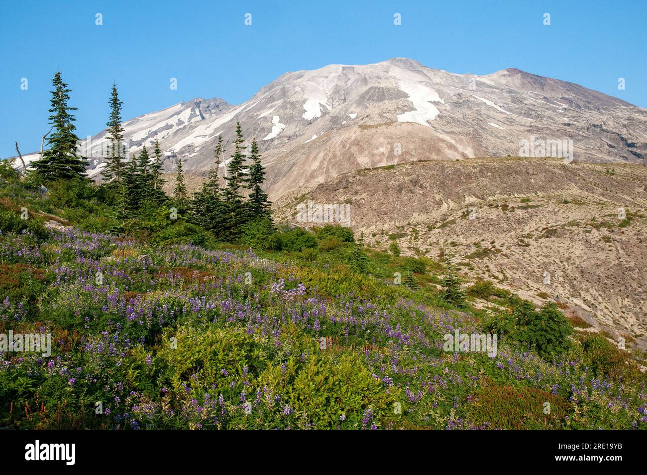 Southern washington cascades hi-res stock photography and images - Alamy