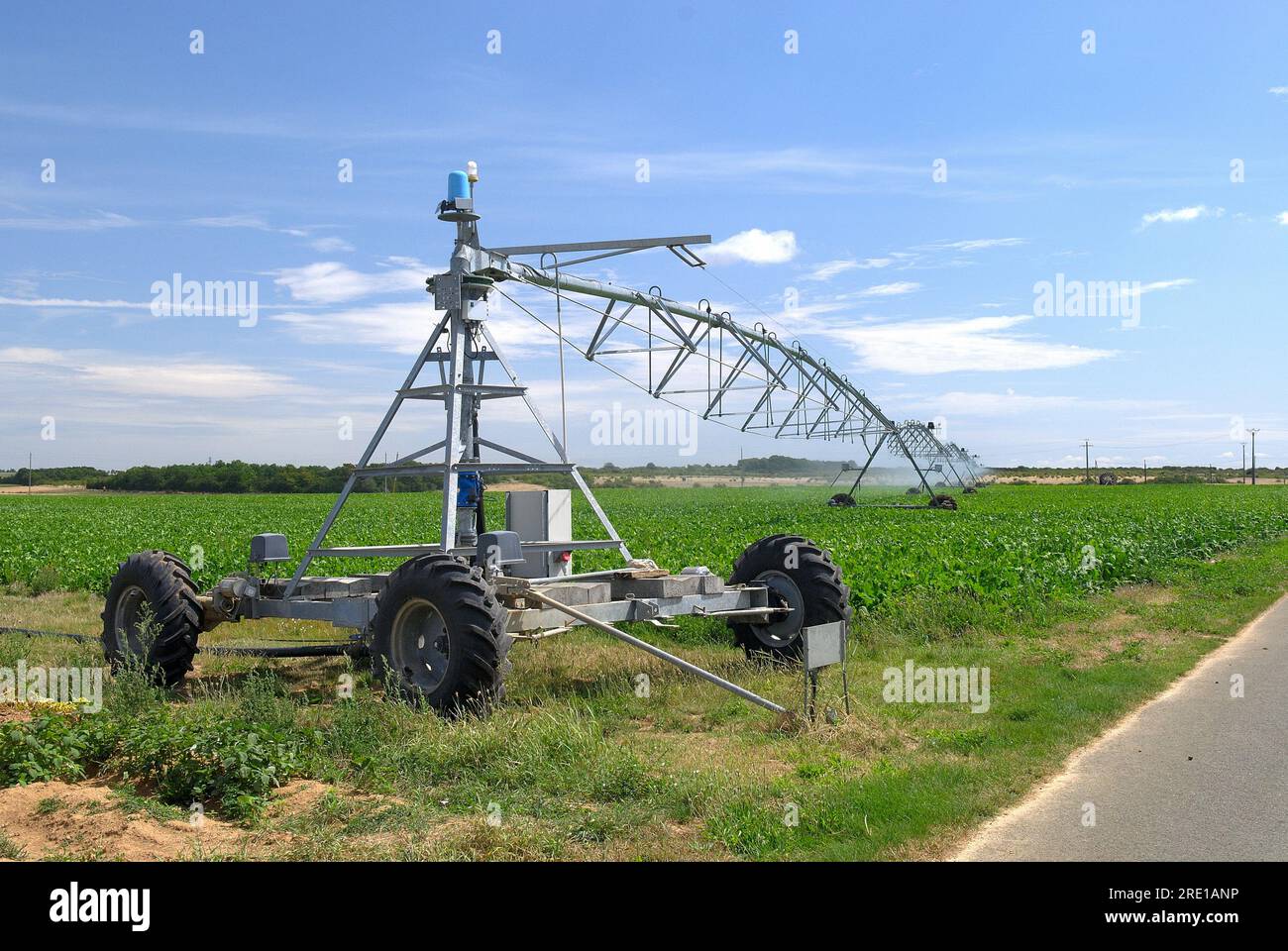 Irrigation, automatic watering of a beet field. Irrigation sprayline ...