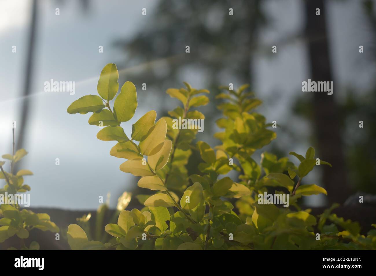 Aesthetic angle hi-res stock photography and images - Alamy