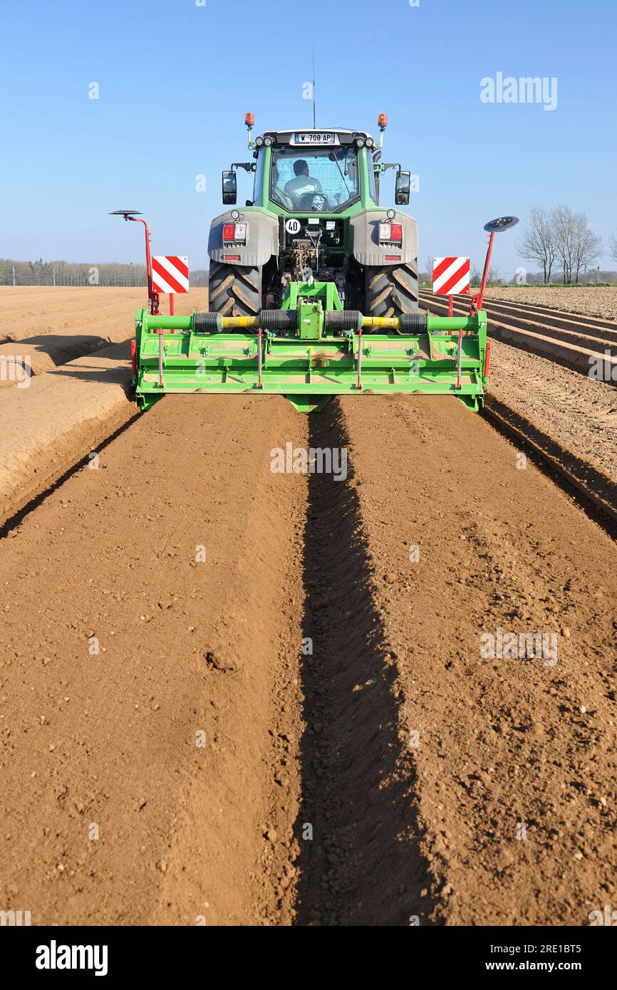 Potato planting, mechanized sowing with tractor and passage of the ...