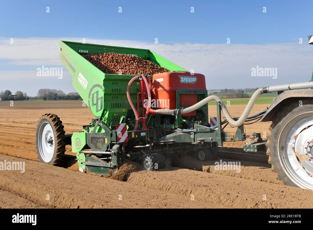 Potato planting, mechanized sowing with a tractor Stock Photo - Alamy
