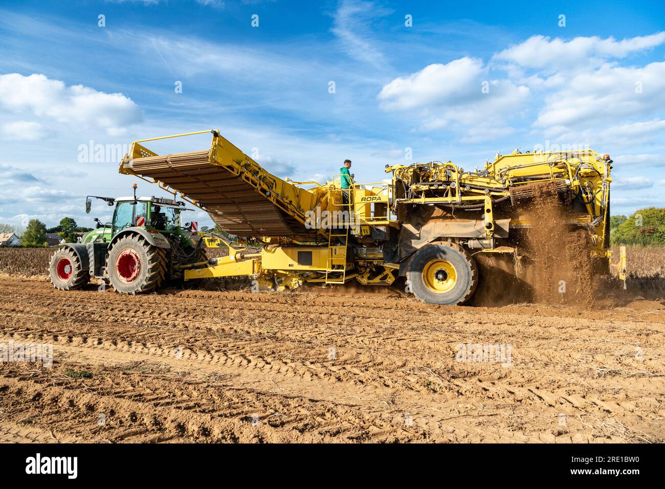 Potato harvest 2022 hi-res stock photography and images - Alamy