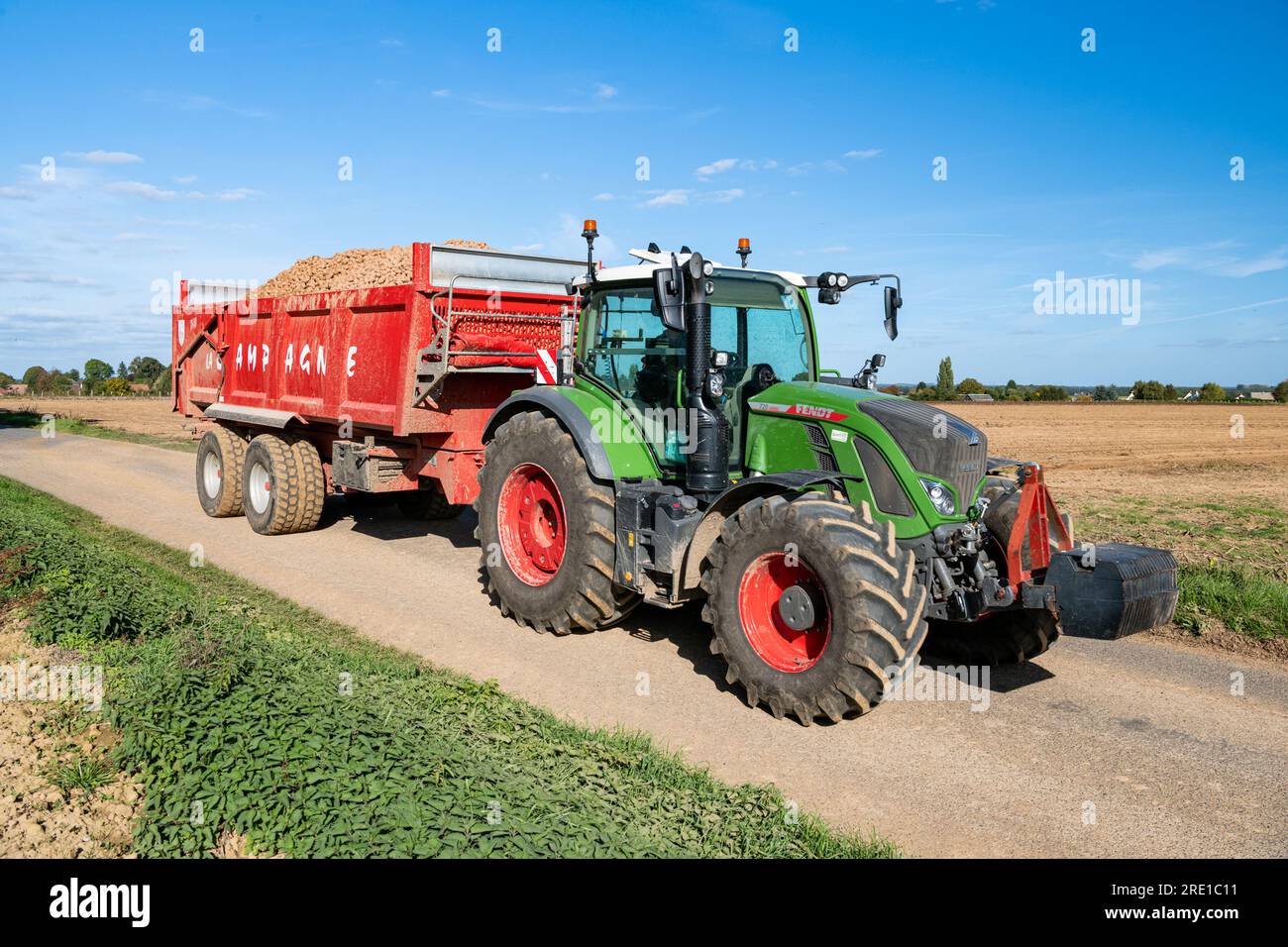 Potato harvesting on a plain. Tractor with trailer full of potatoes ...
