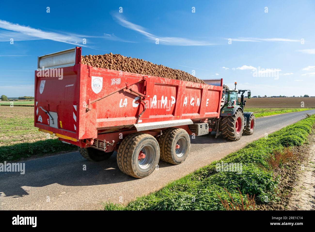 Potato harvesting on a plain. Tractor with trailer full of potatoes ...