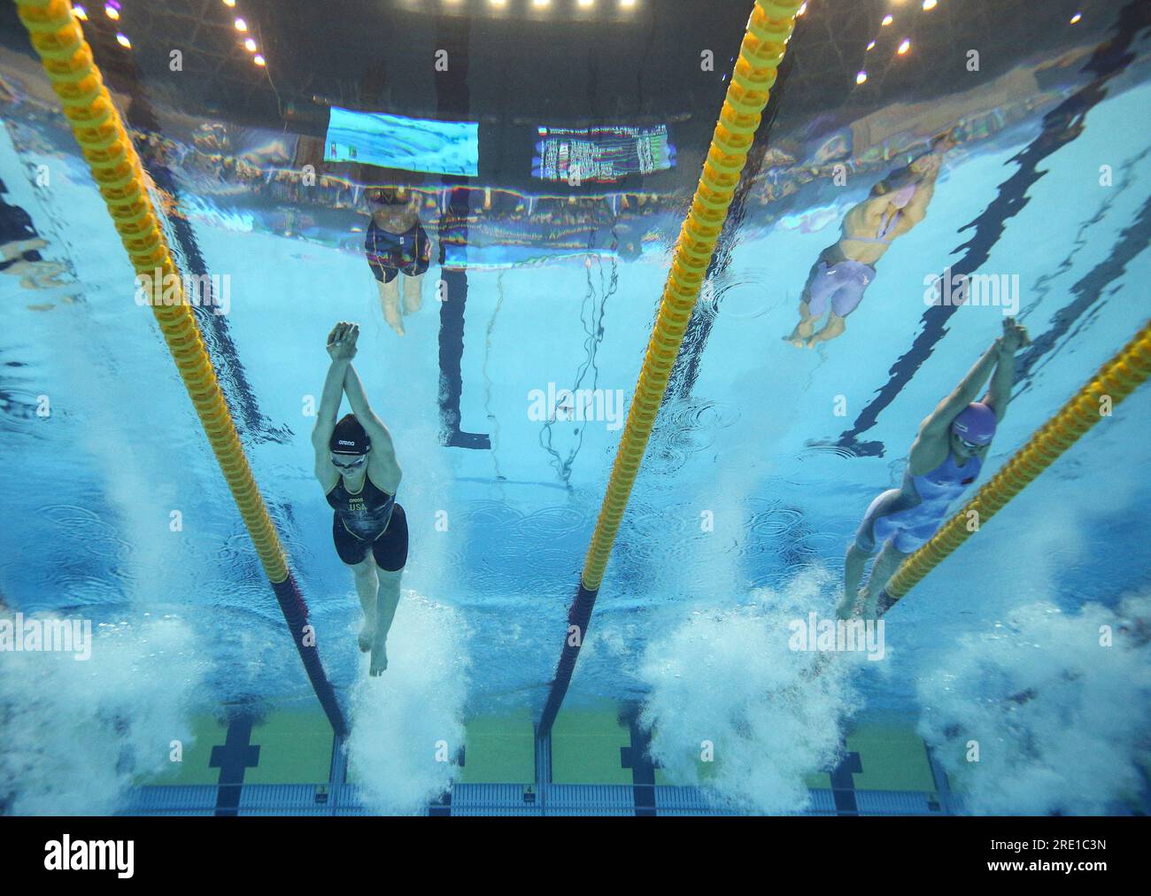 Yiting yu hi-res stock photography and images - Alamy