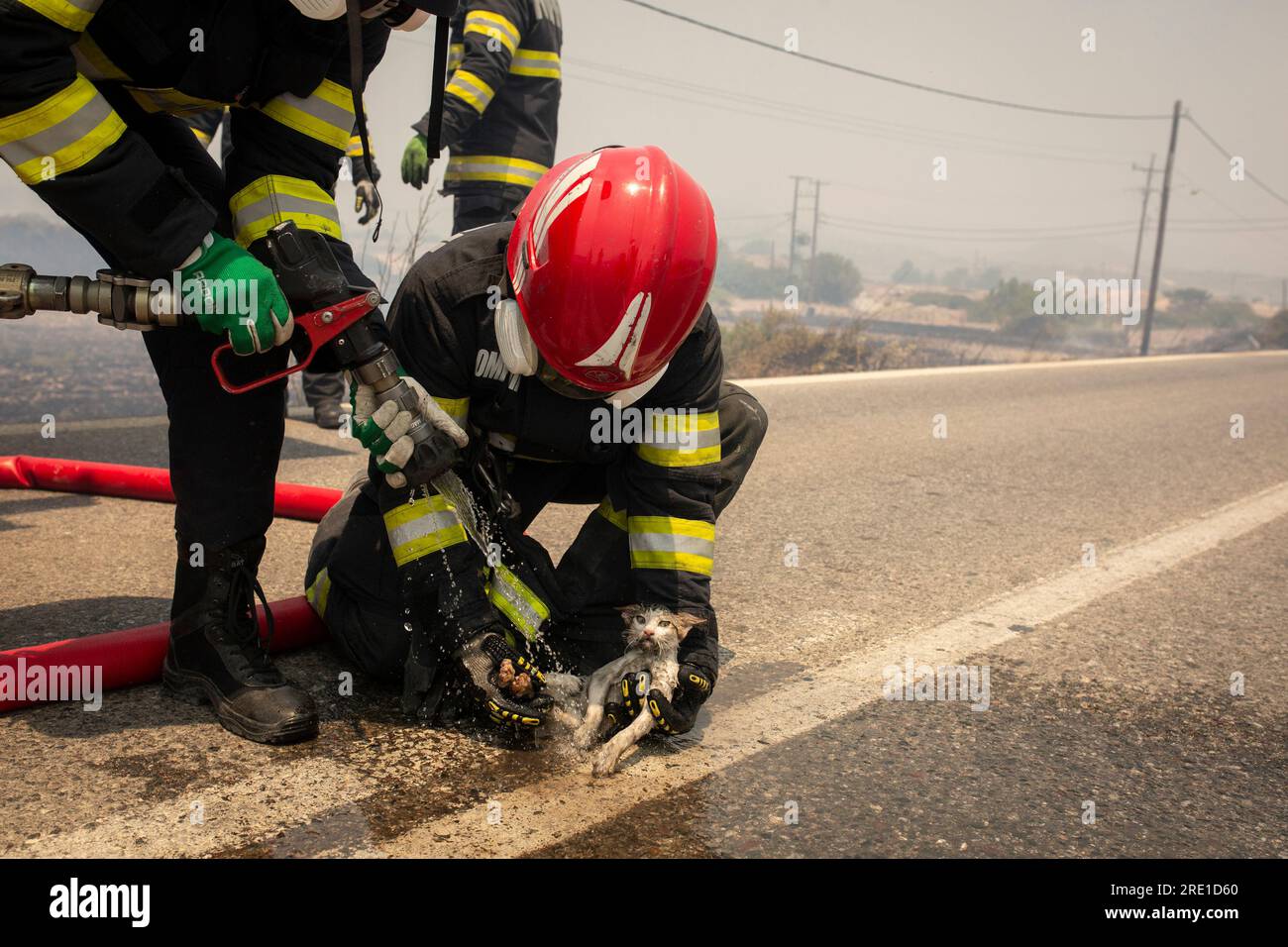 Gennadi, Greece. 24th July, 2023. A Romanian firefighter sprays water ...