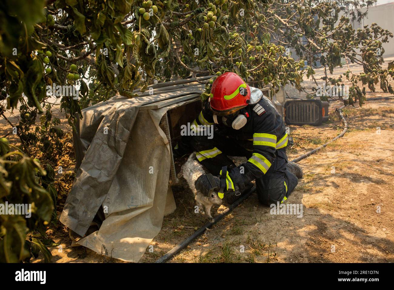 Gennadi rhodes hi-res stock photography and images - Alamy