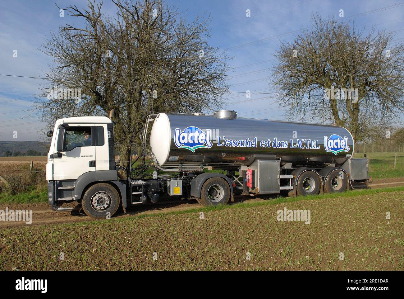Milk collection, Lactel tank truck, Lactalis Group, in Normandy. Truck ...