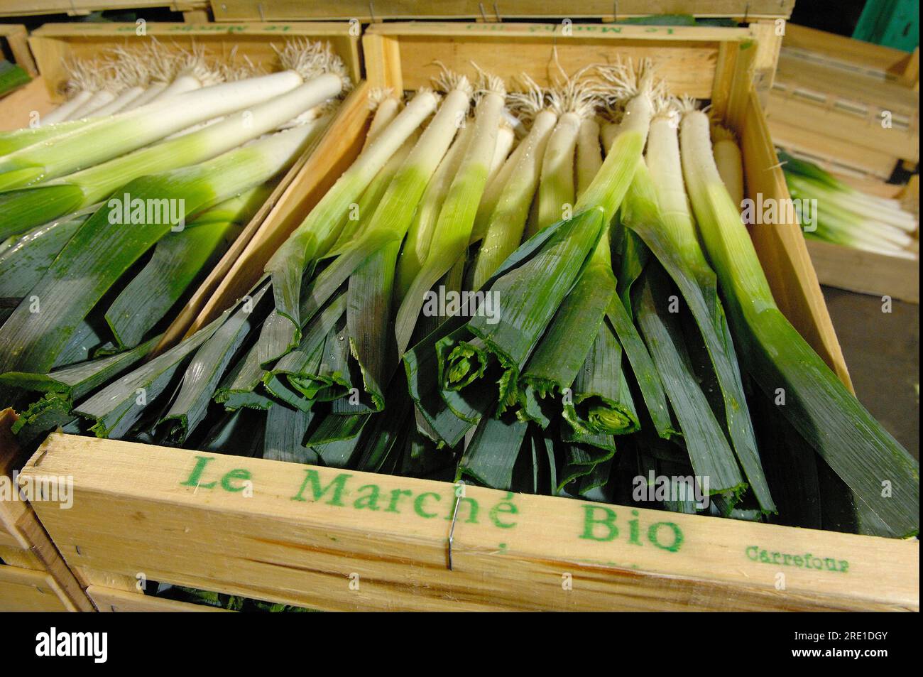 Organic truck farming: packaging of organic leeks, label AB, for ...