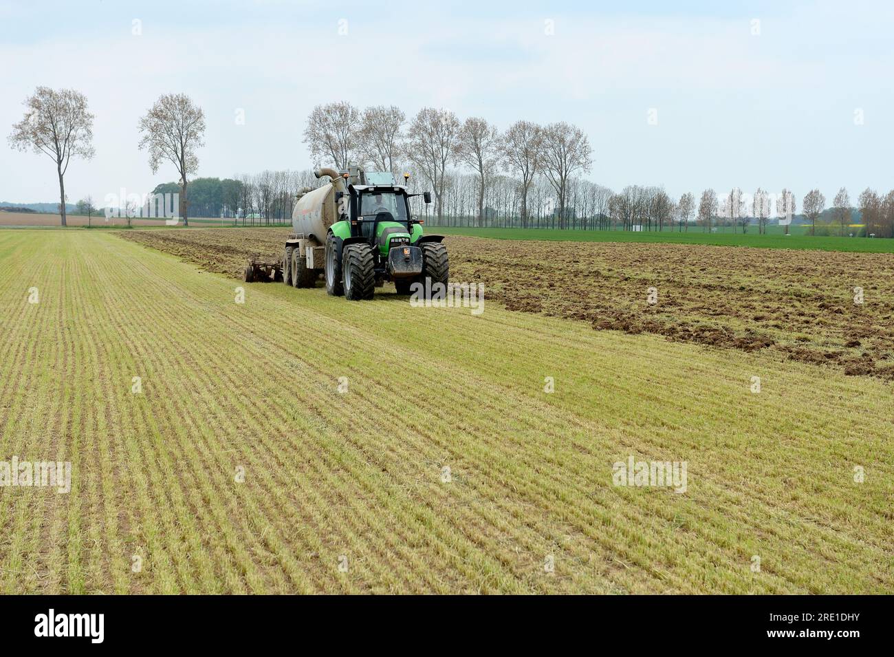 Spreading liquid manure on a recently mown ryegrass field, using a ...