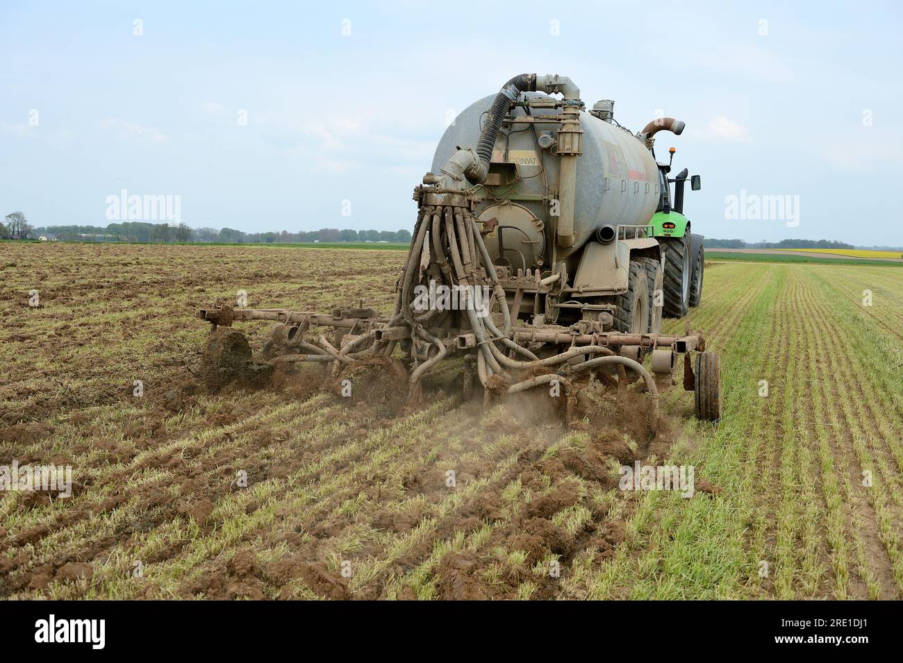 Spreading liquid manure on a recently mown ryegrass field, using a ...
