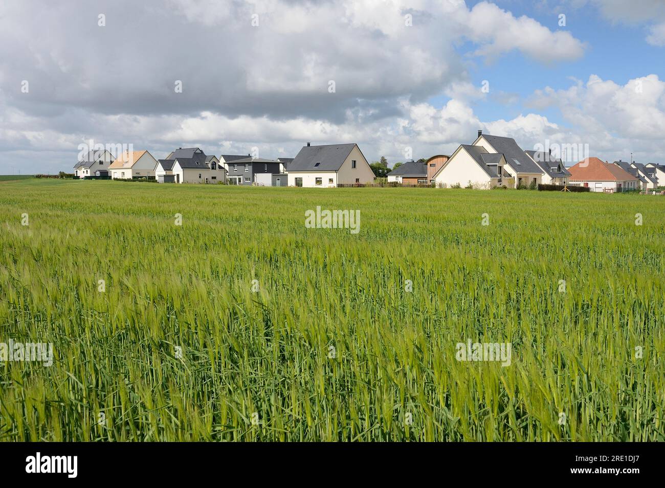 Land issues, disappearance of farmland: barley field with recent ...