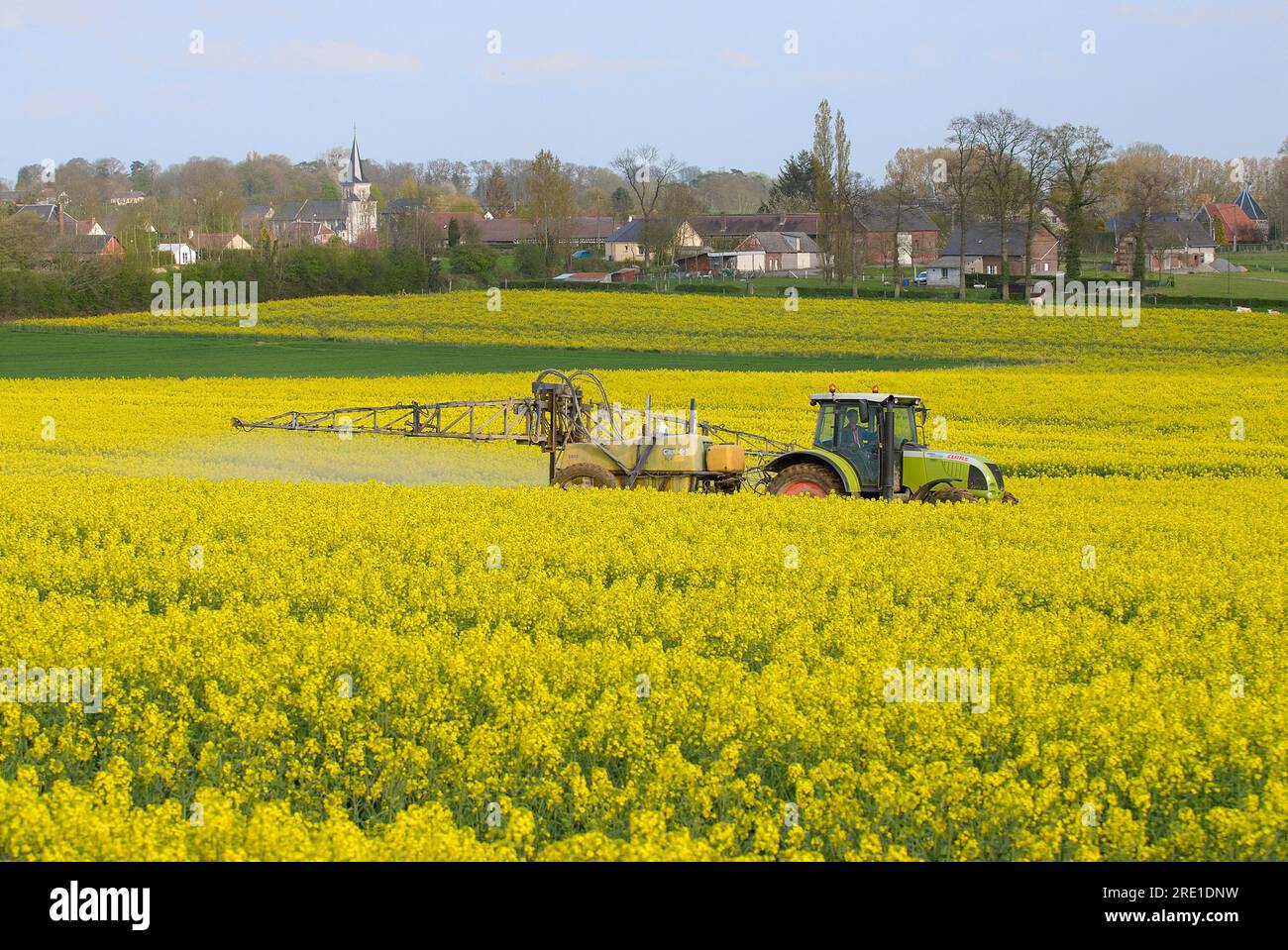 Insecticide treatment on rapeseed against weevils: spraying of ...