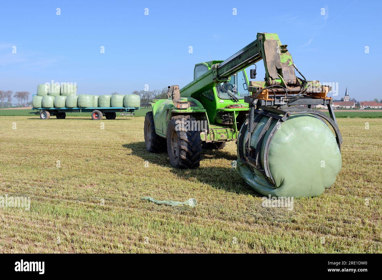 Loading of bales of Italian rye grass, forage grass, wrapped bales ...