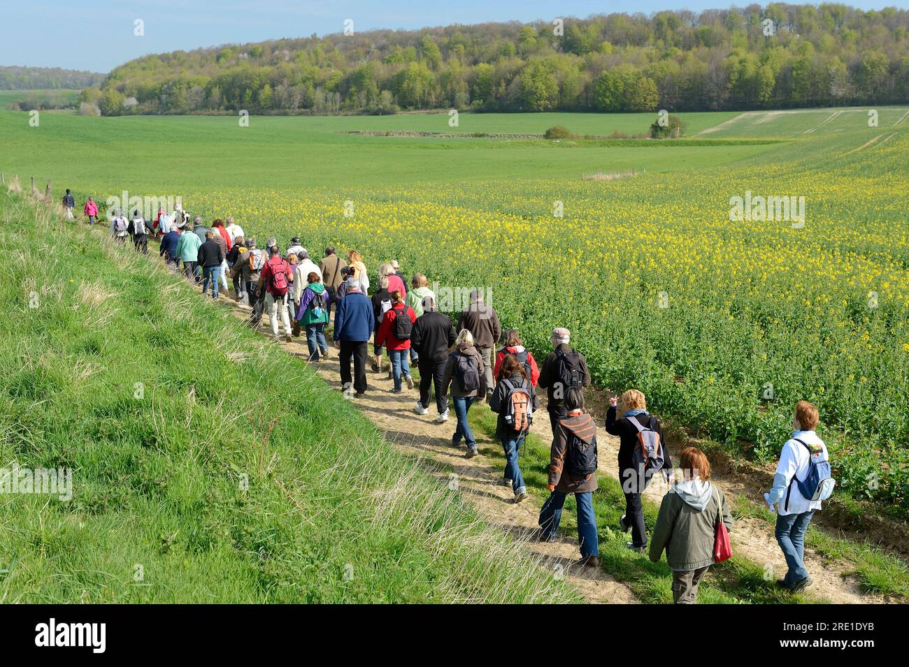 Rural tourism, agrotourism: group of hikers accompanied by a farmer ...