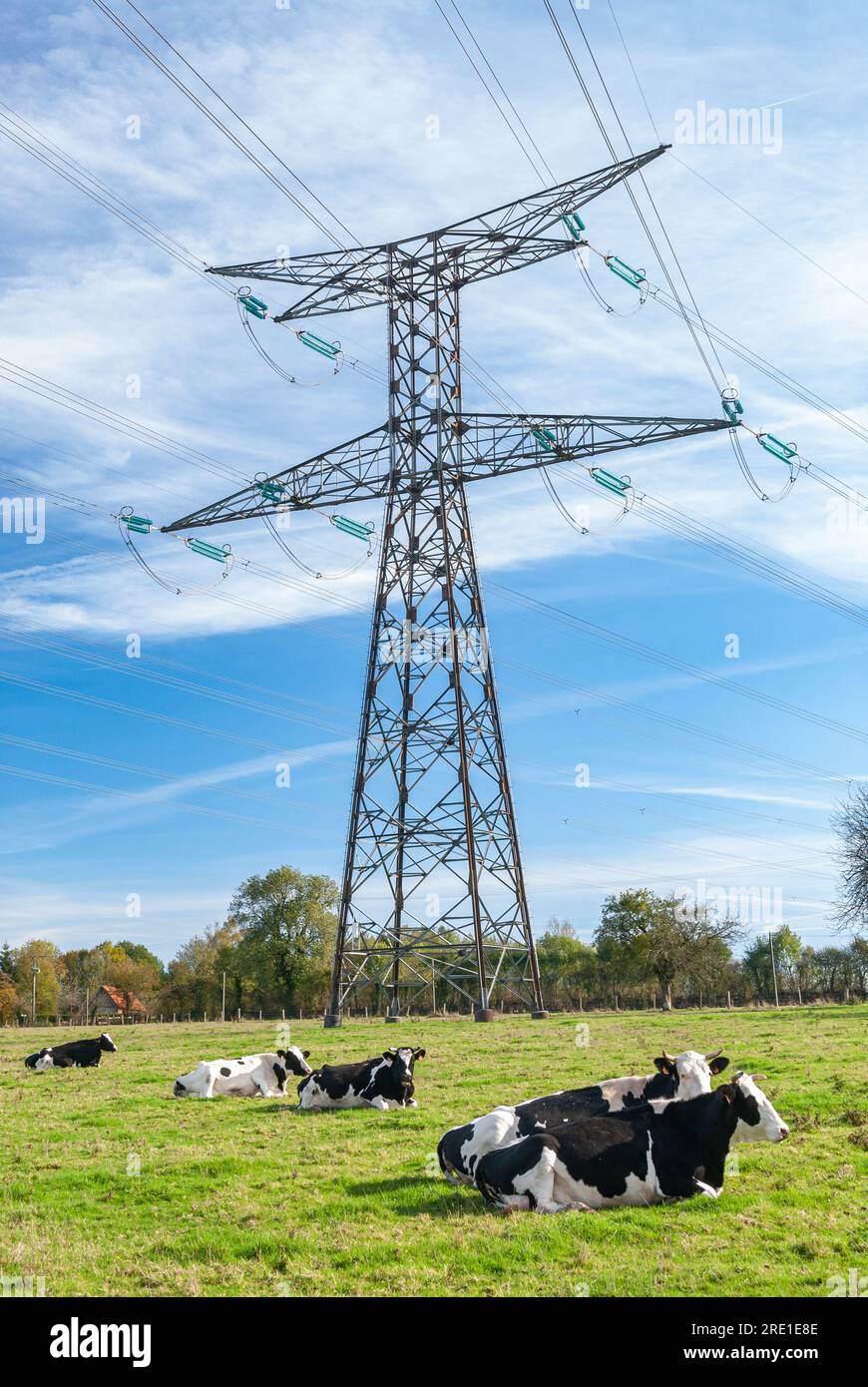 Prim'Holstein cows in a meadow under a high voltage power line Stock ...