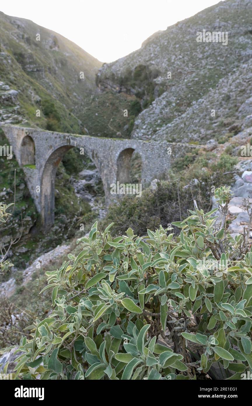 ALBANIA, Gjirokastra, Ali Pasha bridge crossing a rocky gorge, wild ...