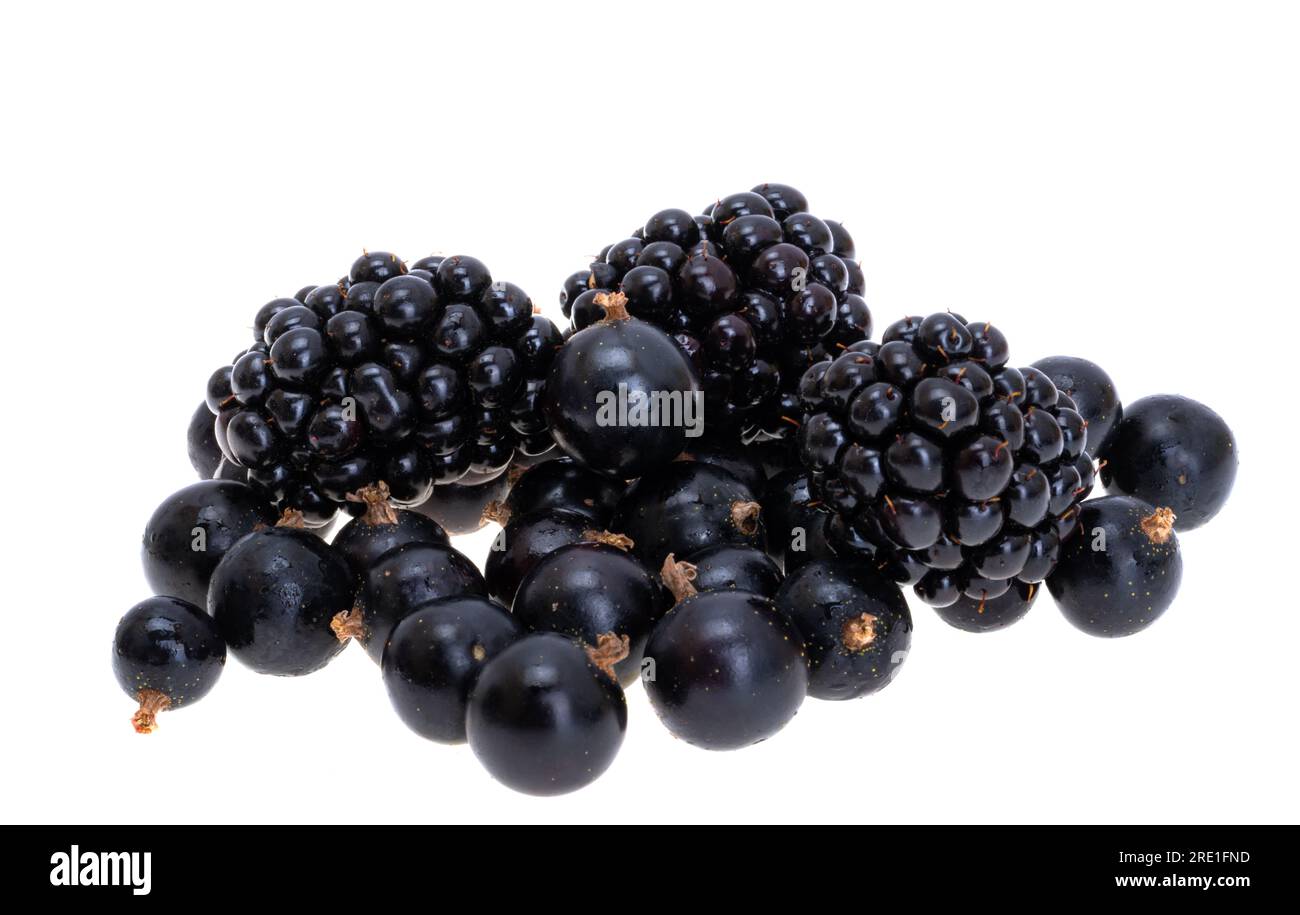 blackcurrant and blackberry berries isolated on white background Stock ...