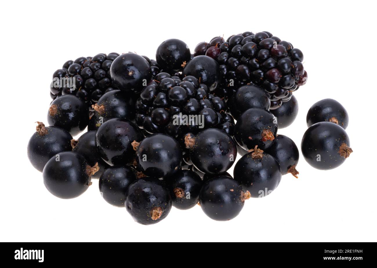 blackcurrant and blackberry berries isolated on white background Stock ...