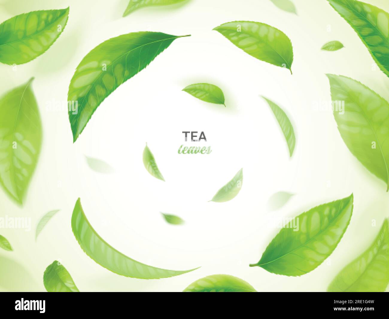 Flying tea leafs. Realistic green leaves floating motion on air wind ...