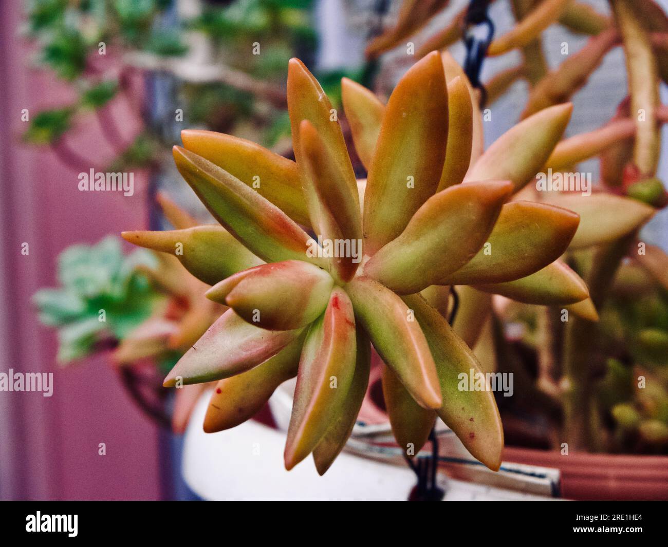 Lumixphotographers hi-res stock photography and images - Alamy