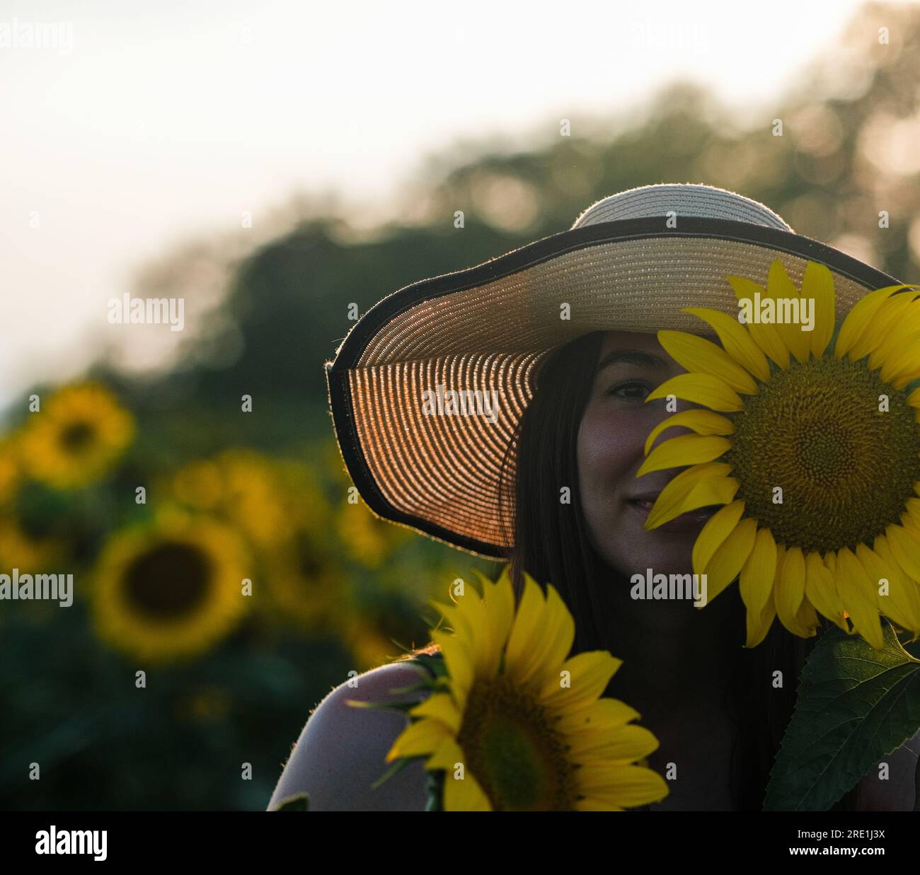 Pose with sunflower hi-res stock photography and images - Alamy