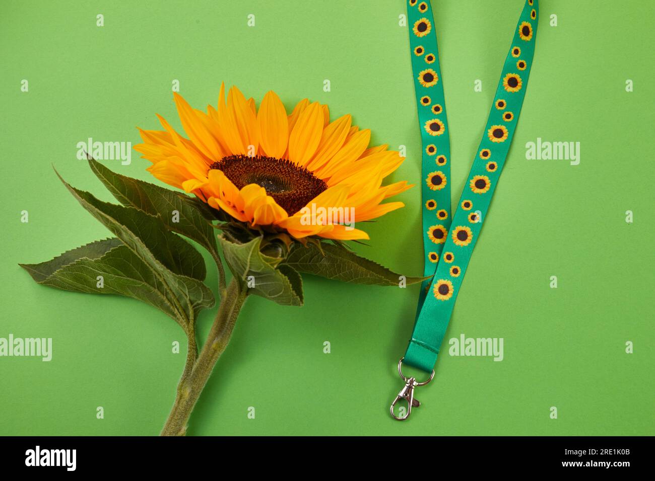 Sunflower lanyard, symbol of people with invisible or hidden ...