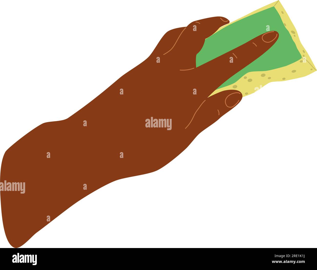 Sponge up close Stock Vector Images - Alamy