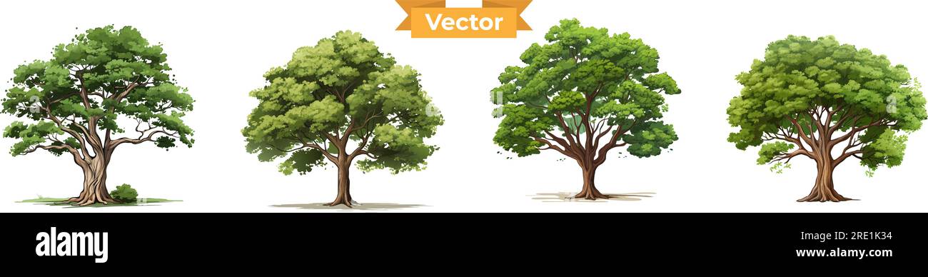 Illustration set of tree on isolated white background. Set of tree ...