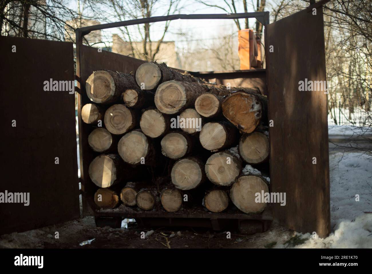 Sawn logs in back of truck. Lot of logs lie in row. Felling Details ...